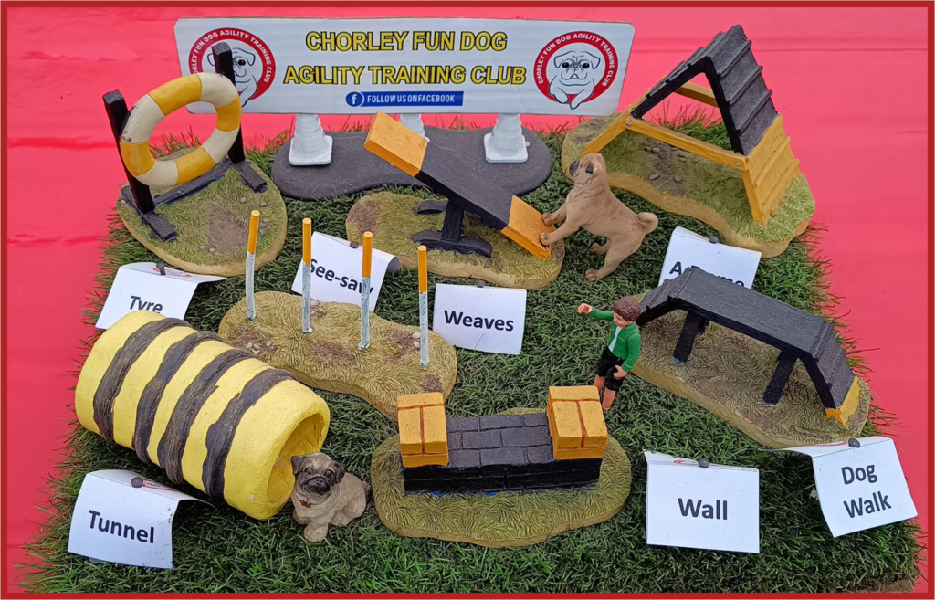 Chorley Fun Dog Agility Training Club